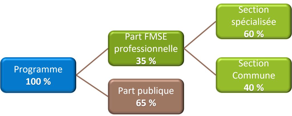 Les ressources : financement du FMSE – FMSE